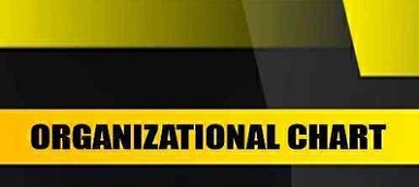 Tony Falcon Construction