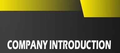 Tony Falcon Construction